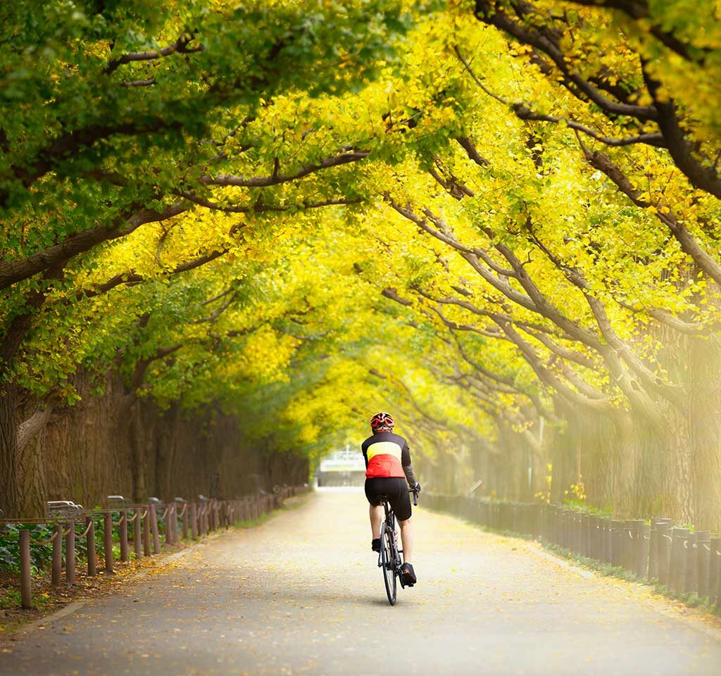 Bicycling | Luxe and Intrepid Asia | Remote Lands