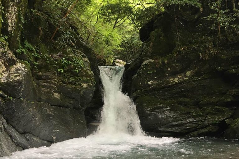 Natural Wonder in Japan - Exploring Eastern Shikoku Island ...