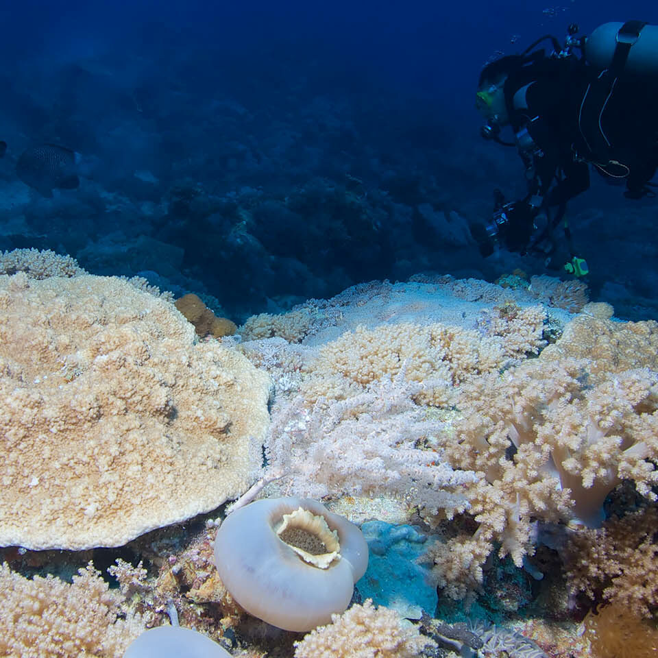 Islands of Taiwan | Taiwan | Luxe and Intrepid Asia | Remote Lands