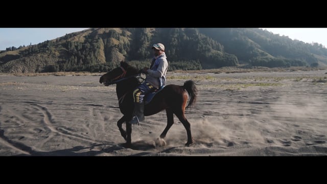 Video: The Breathing Volcano of Bromo - Travelogues from Remote Lands