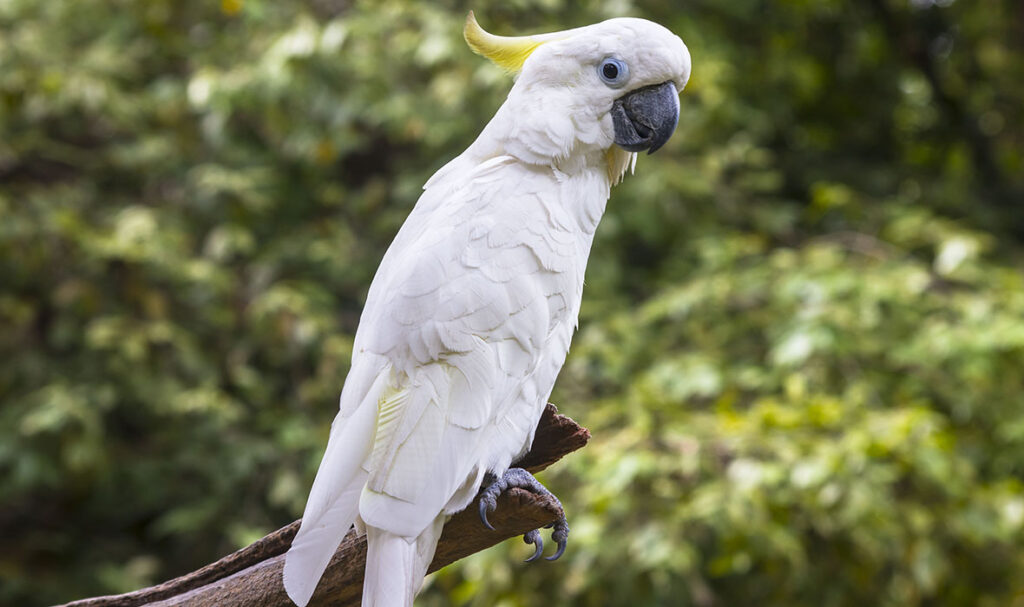 5 Exciting Non-Beach Adventures on Palawan - Travelogues from Remote Lands