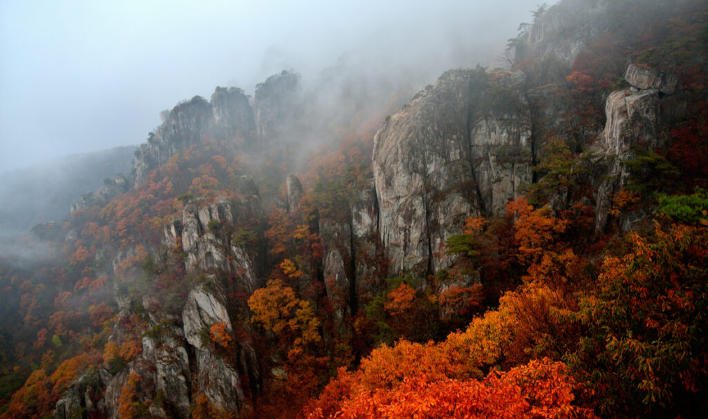 5 South Korean Destinations to Put on Your Fall Foliage Bucket List ...