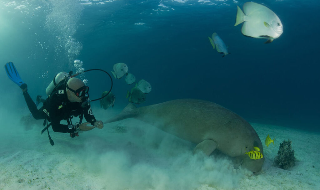 The Adorable Wildlife of the Philippines Above and Below the Water ...