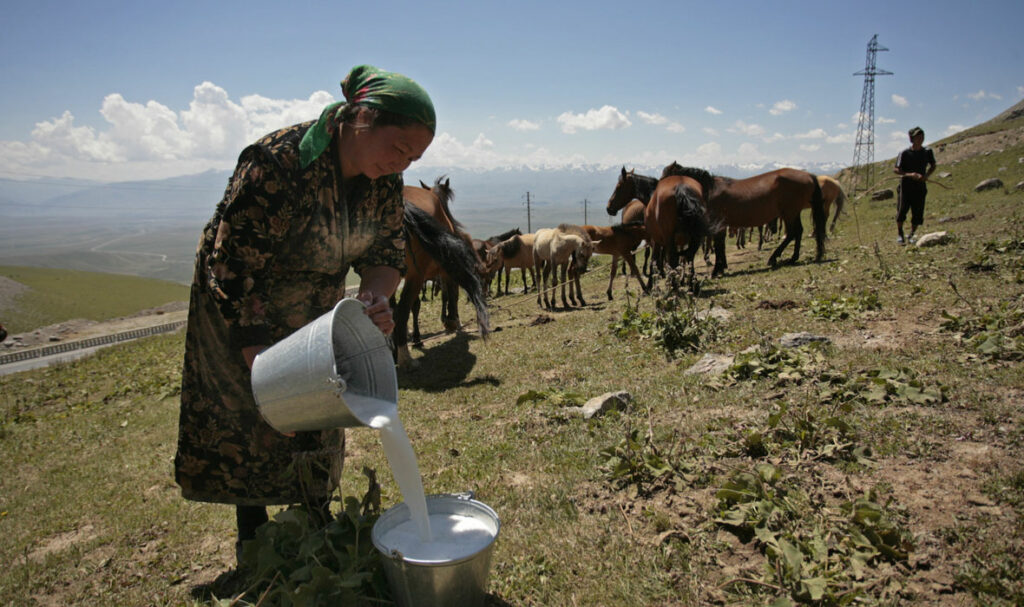 Kumis: The Kyrgyz Cure-all - Travelogues from Remote Lands