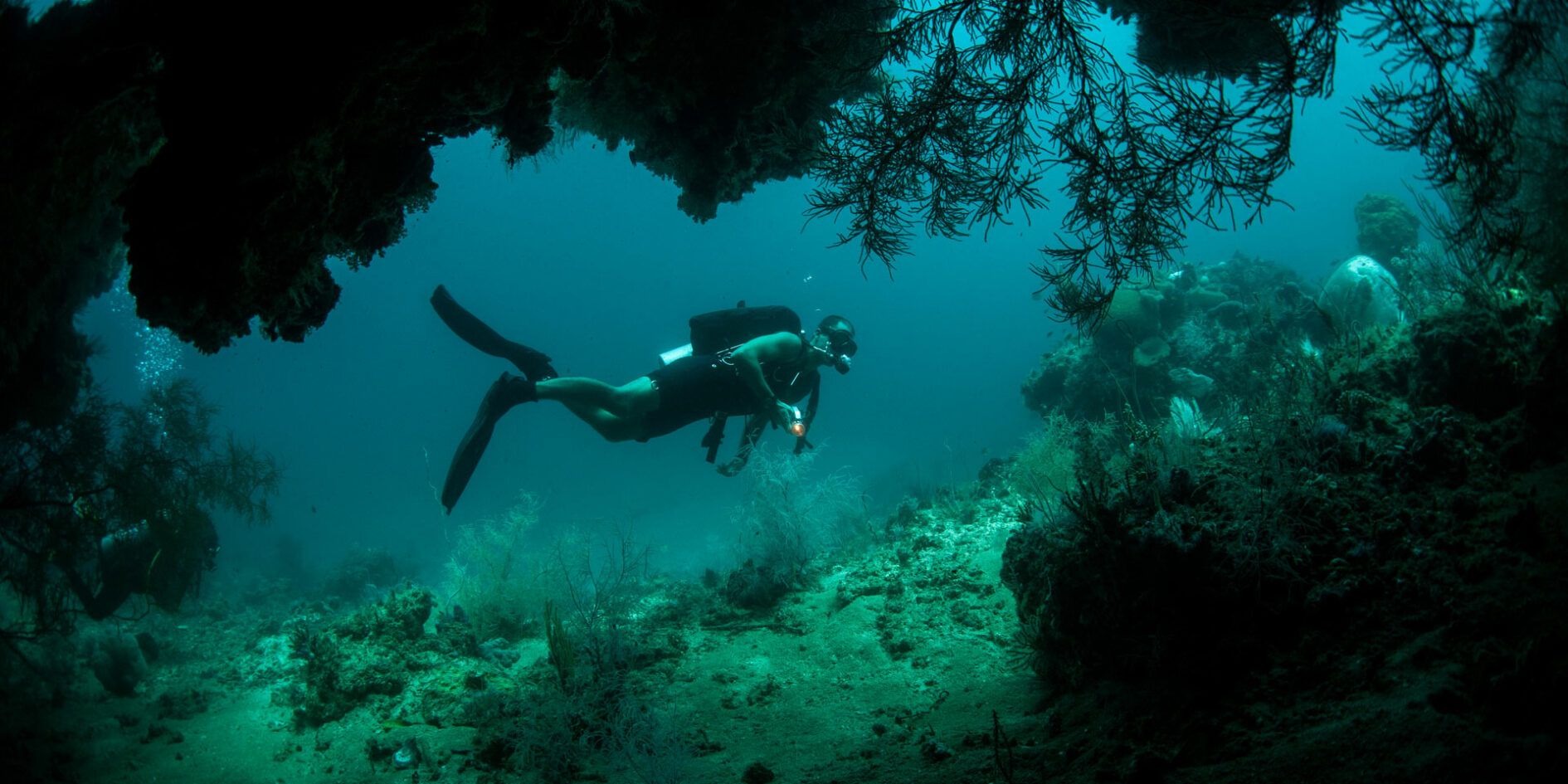 5 Places to Plan Your Winter Dive in Asia - Travelogues from Remote Lands