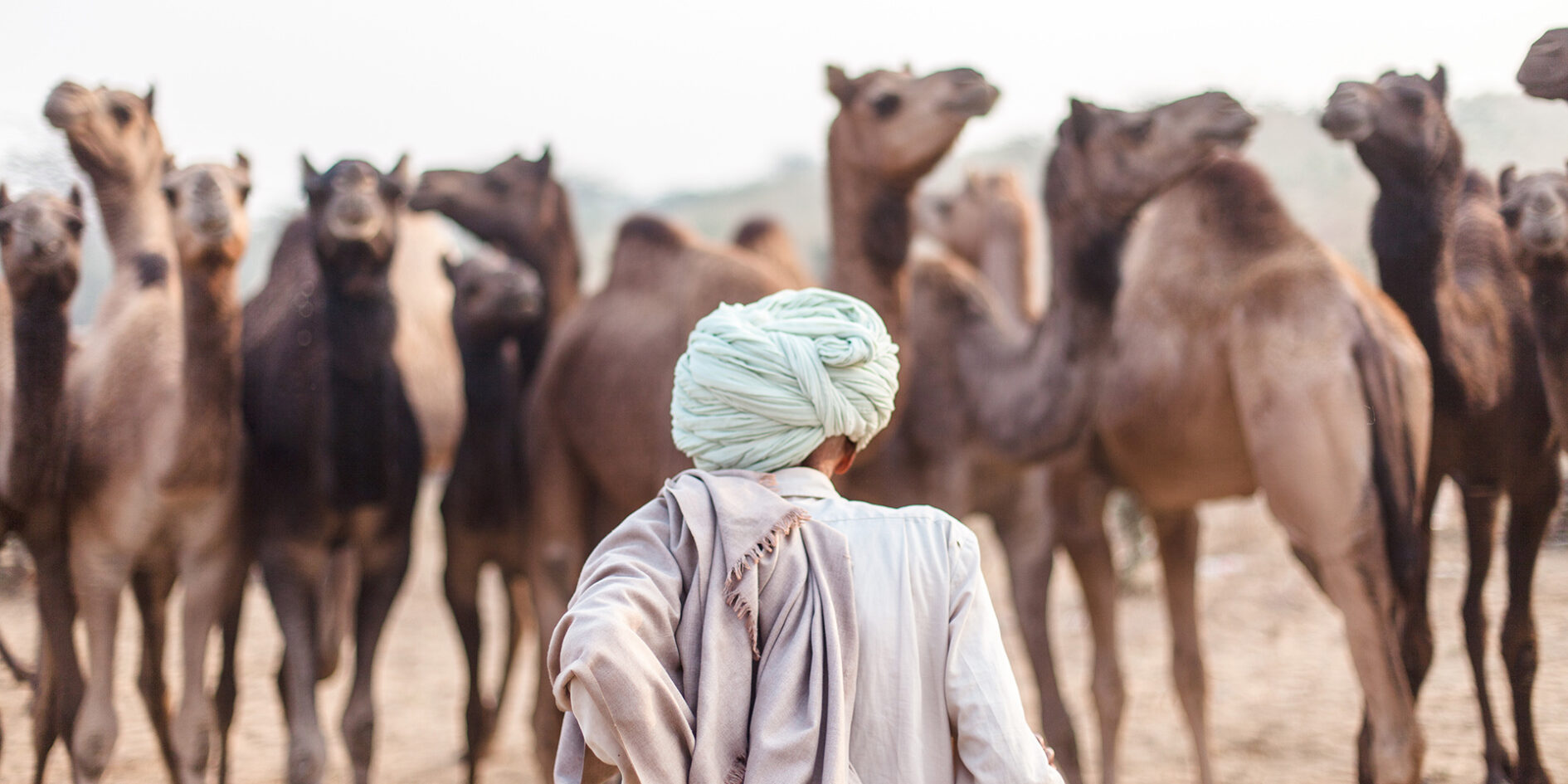 Photographer's Guide to the Pushkar Camel Fair - Travelogues from ...
