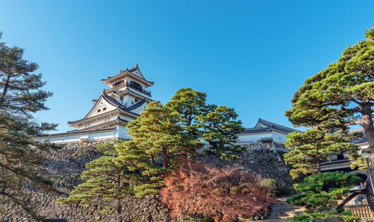 Shogun Stronghold: Samurai Castles in Japan - Travelogues from Remote Lands