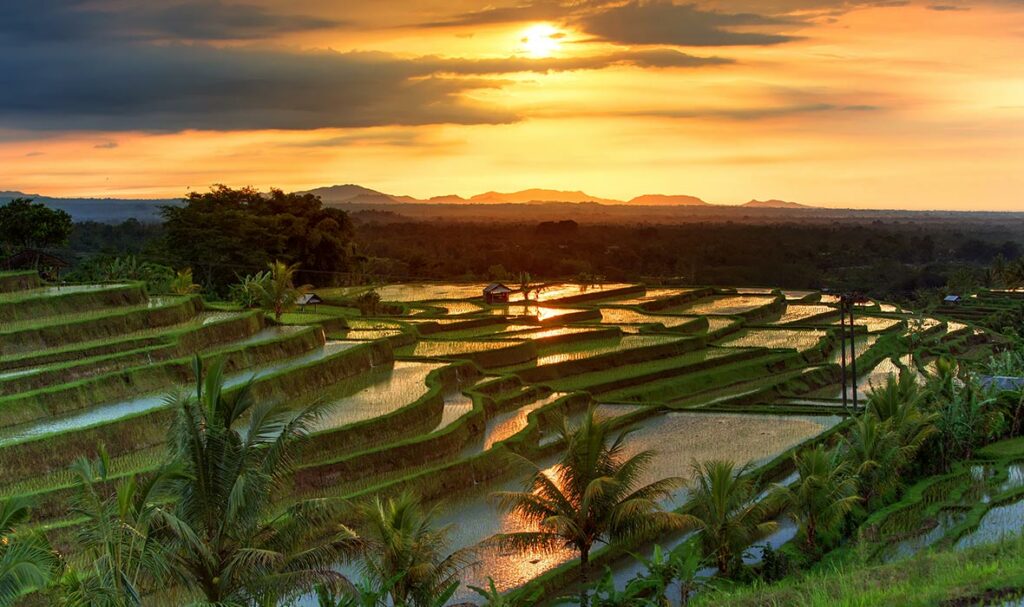 Bali’s Tabanan Regency: Where Tradition and Luxury Meet - Travelogues ...