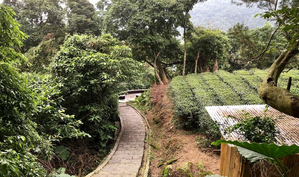 Tea for Taipei: Maokong Gondola to Taiwan’s Past - Travelogues from ...