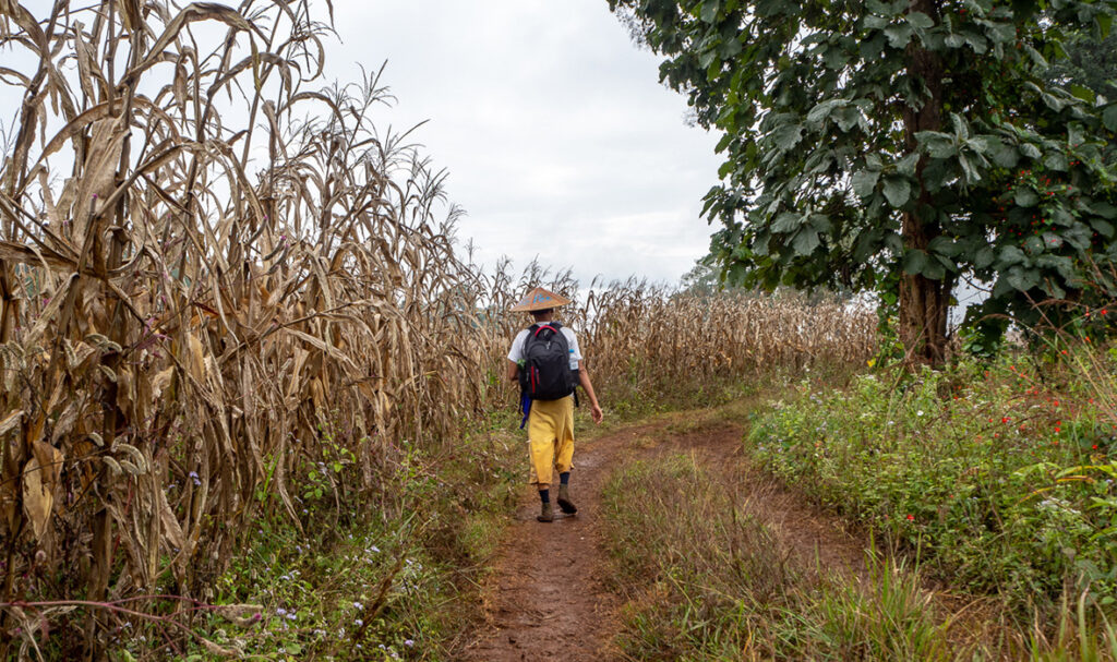Trekking the Shan Hills with the Palaung People of Northern Myanmar ...