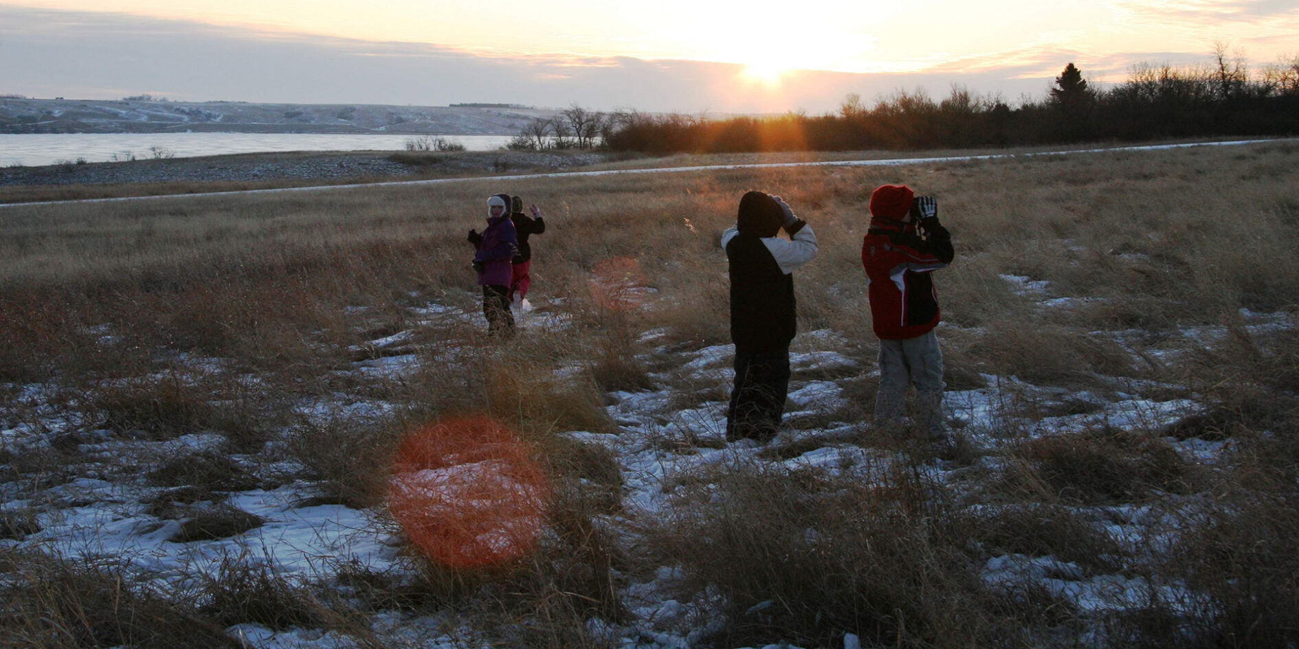 Twitchers at the DMZ: Birdwatching near the World's Most Dangerous ...