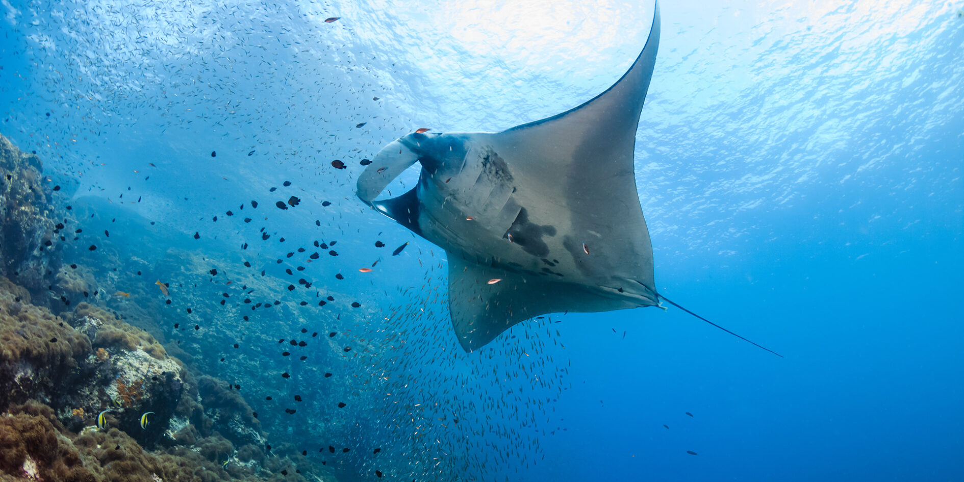 Diving Mergui and the Burma Banks - Travelogues from Remote Lands