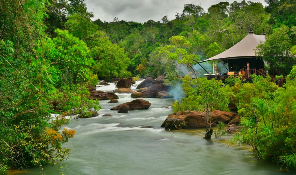 Dozen Dream Destination 2020: Cardamom Mountains for the Luxury Camp ...