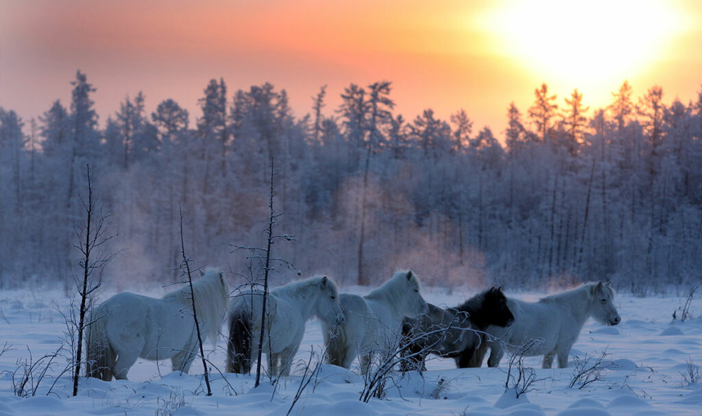 Dozen Dream Destination: Yakutsk for the Extreme Weather