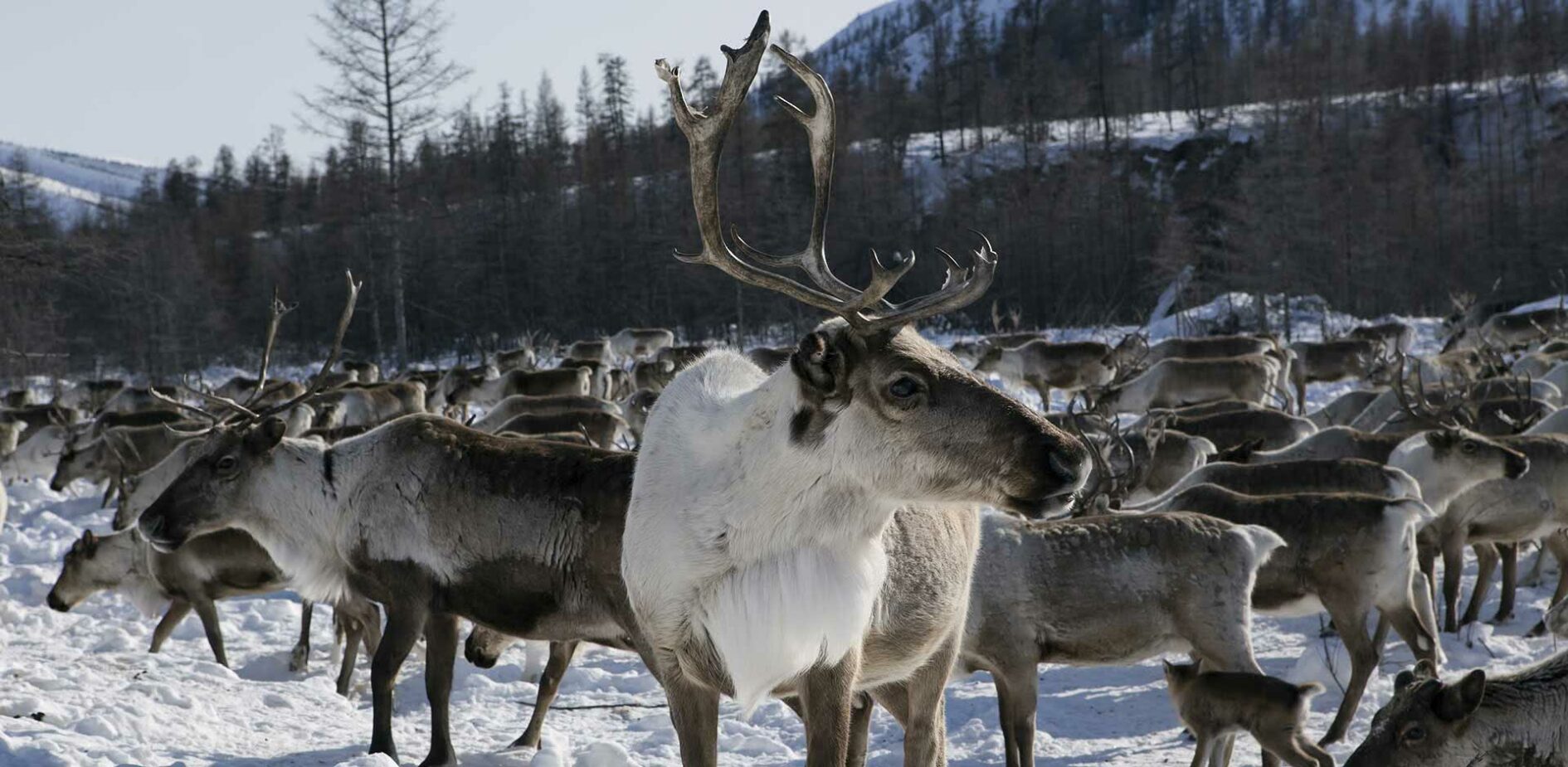 Dozen Dream Destination: Yakutsk for the Extreme Weather