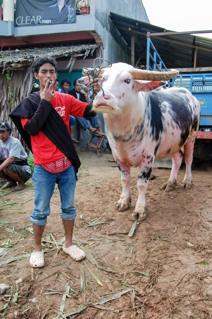 Dozen Dream Destination: Torajaland for Something Different