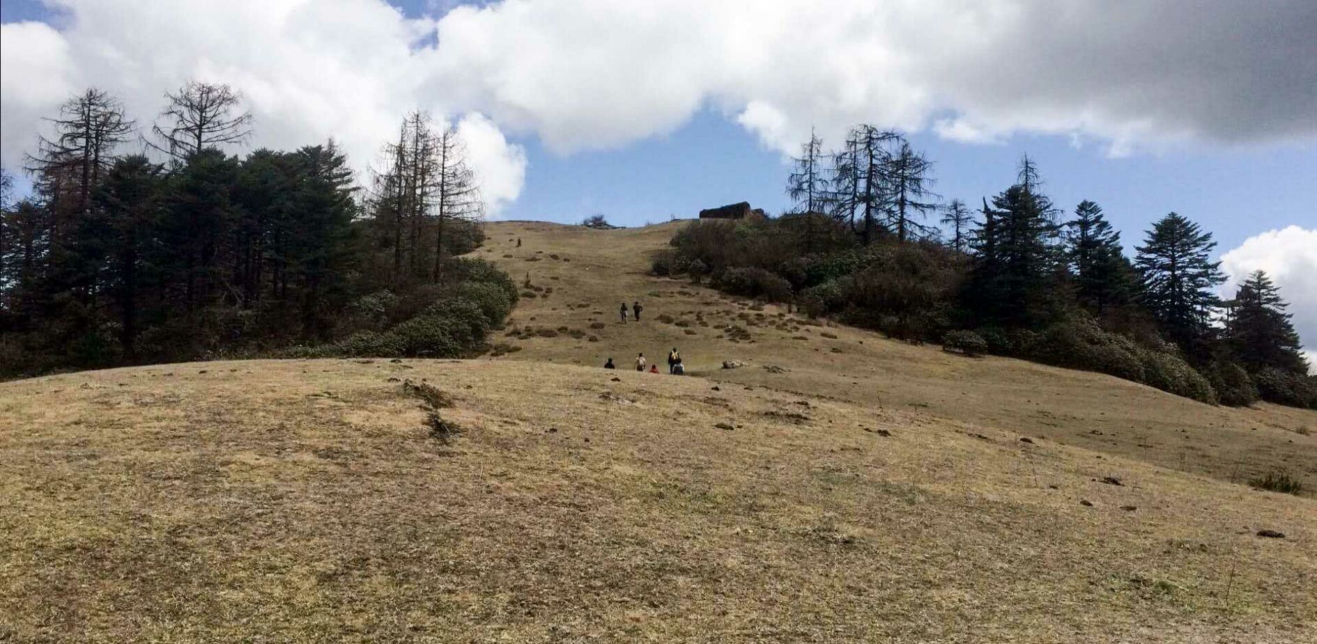 Cycling Chelela Pass in Bhutan - Travelogues from Remote Lands