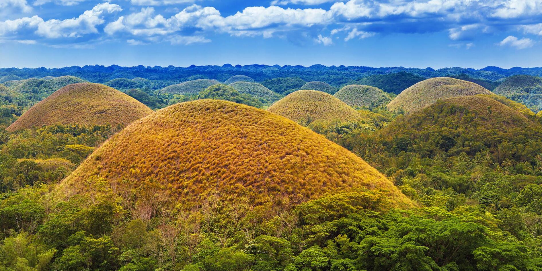 Giants and Blood Oaths: Delving into Bohol’s History - Travelogues from ...