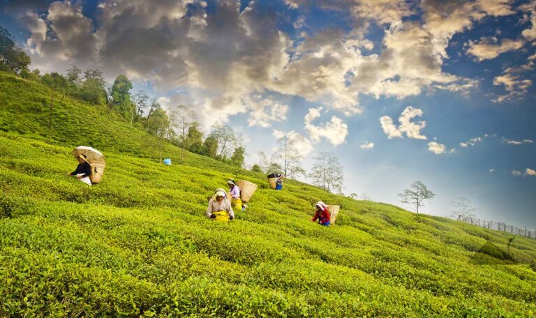 Sikkim: First-timer Tips for Traveling India's Northeast - Travelogues ...