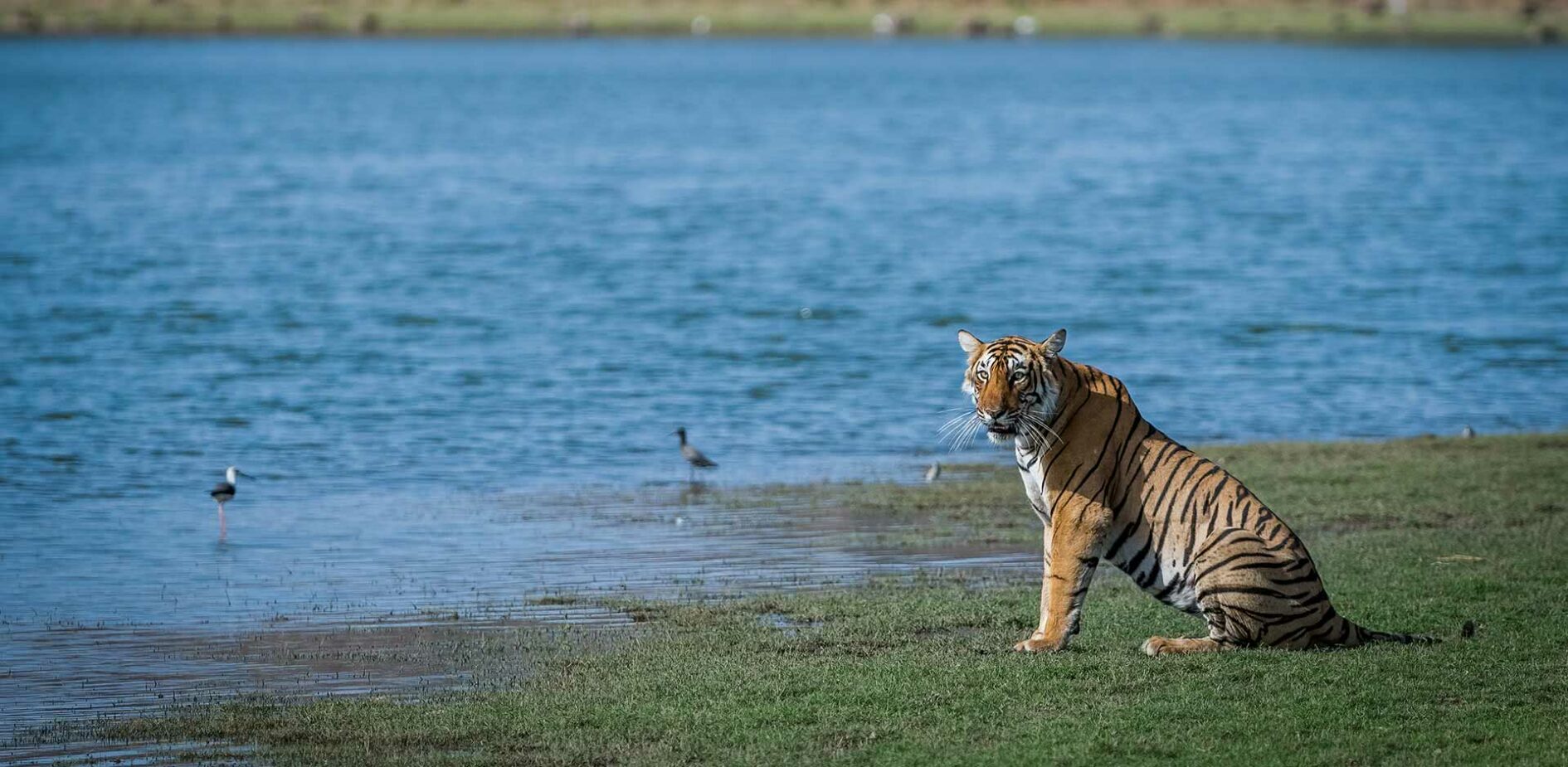 India Unexplored: Architecture and Spirituality at Amritsar ...