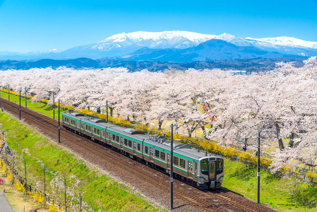 Sakura Rising: Spring in Japan - Travelogues from Remote Lands