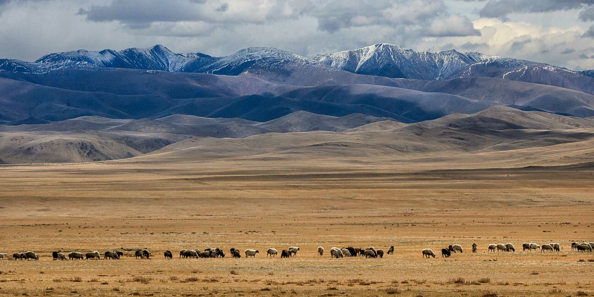 Distance by Design: Asia's Open Spaces in 2021 - Travelogues from ...