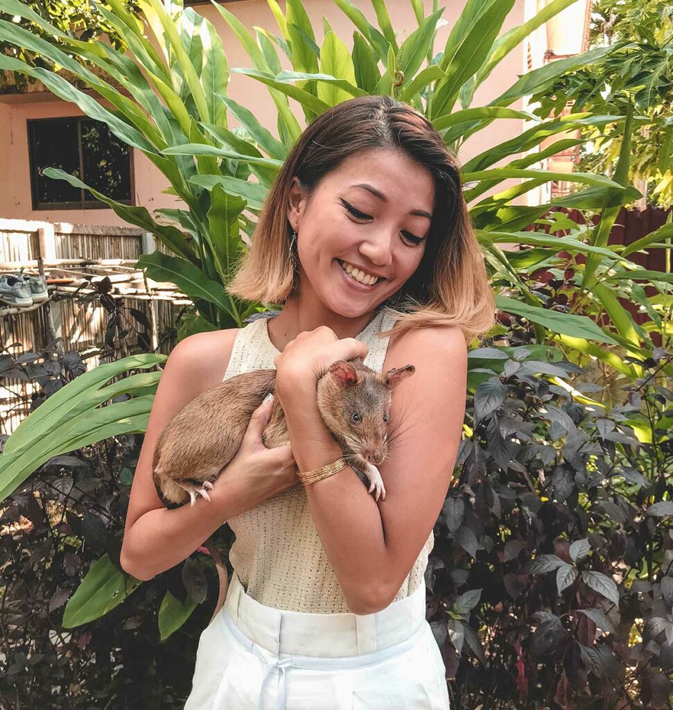 Visit with the Next Generation of Bomb Sniffing Rats in Cambodia ...