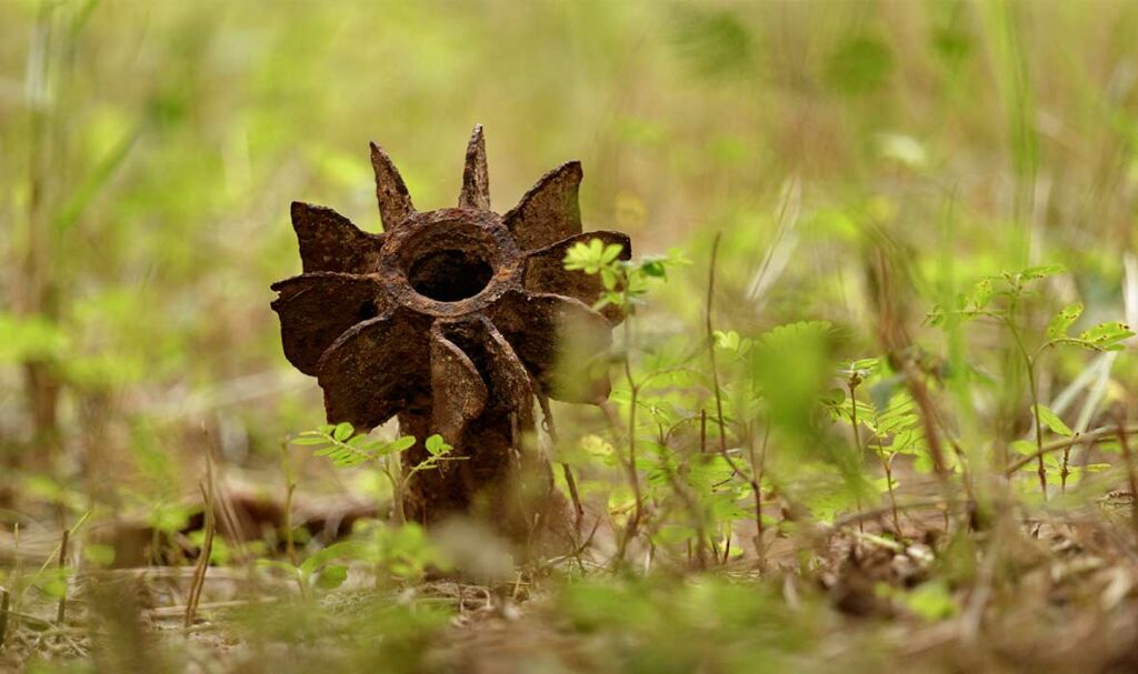 Visit with the Next Generation of Bomb Sniffing Rats in Cambodia ...