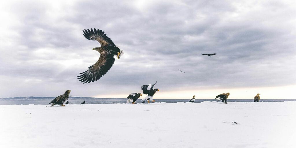 Wild Asia: Luxury Travel for the Nature Lover - Travelogues from Remote ...