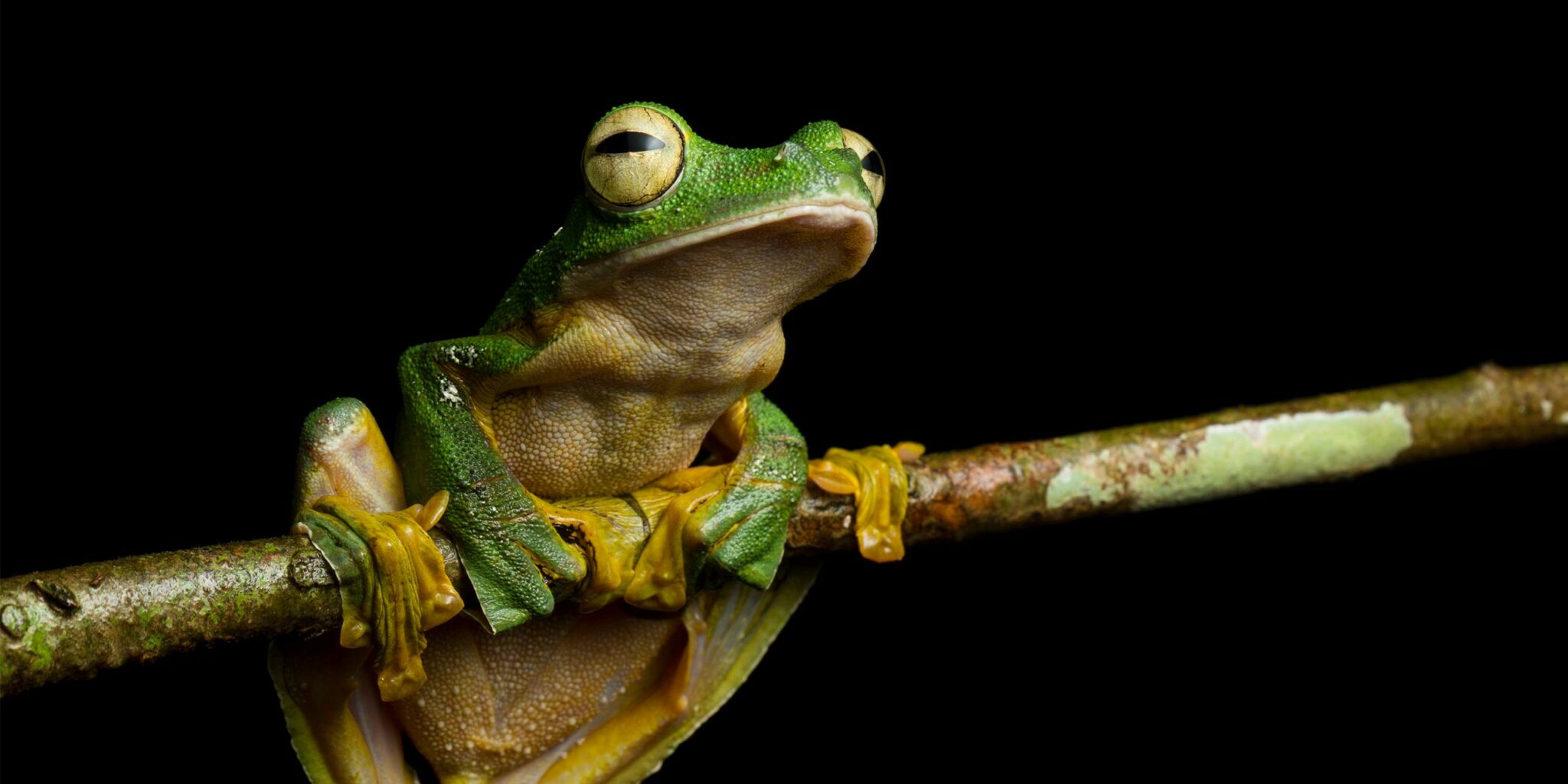 Wild Asia: Luxury Travel for the Nature Lover - Travelogues from Remote ...