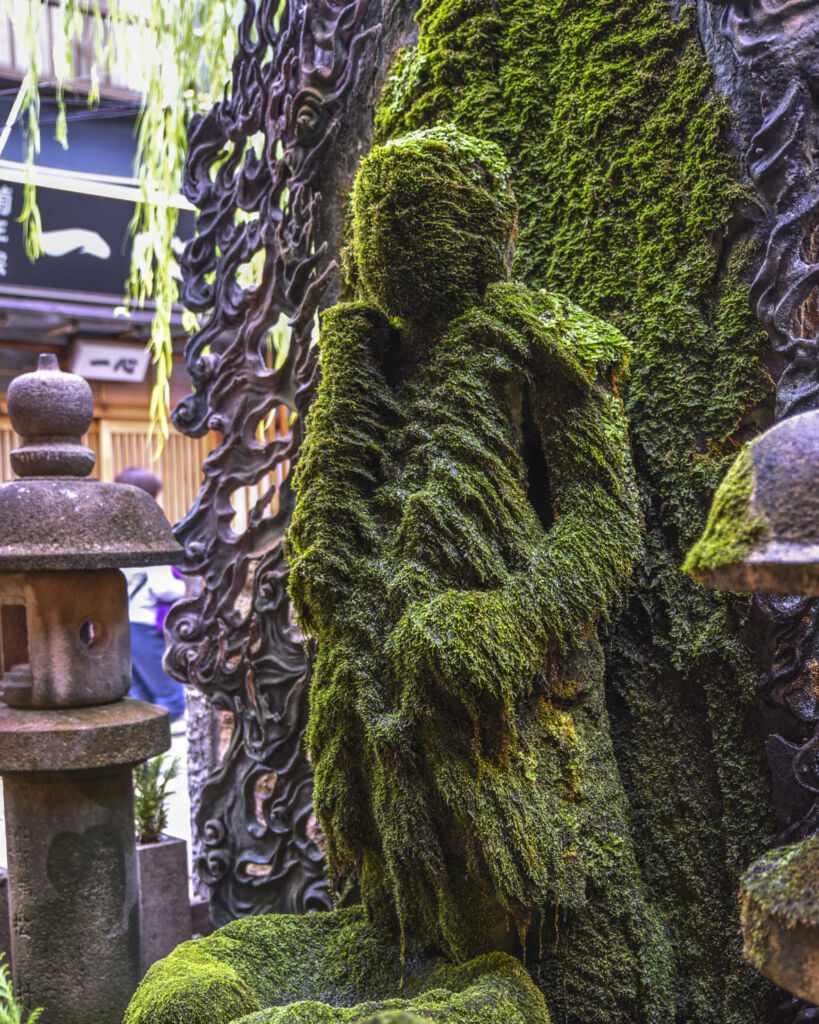 Light and Shade - Travelogues from Remote Lands