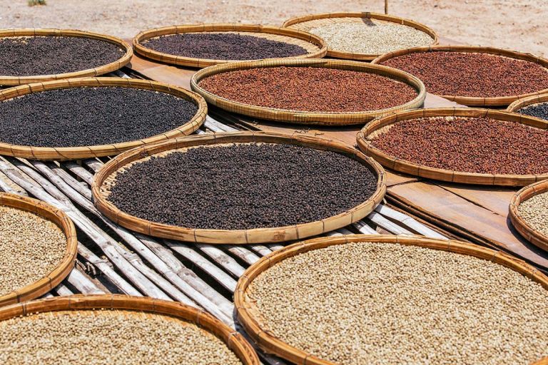 Spice of Life | Cambodia's Unrivaled Kampot Pepper