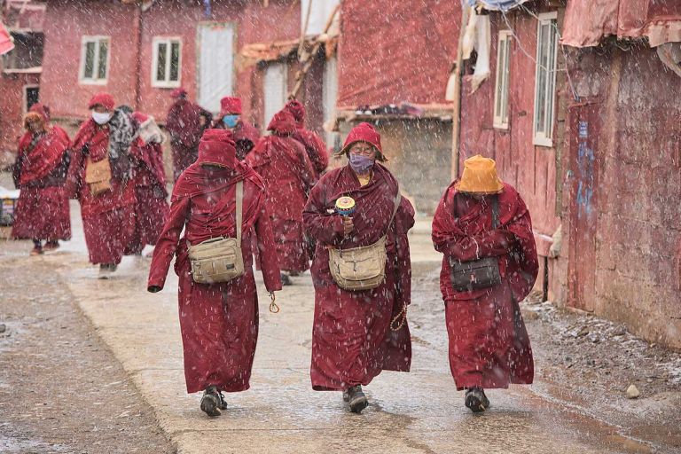 Fringe Benefits - Travelogues from Remote Lands