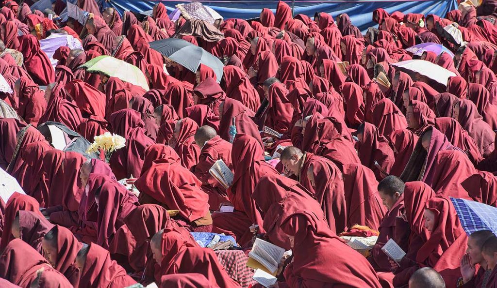 Fringe Benefits - Travelogues from Remote Lands