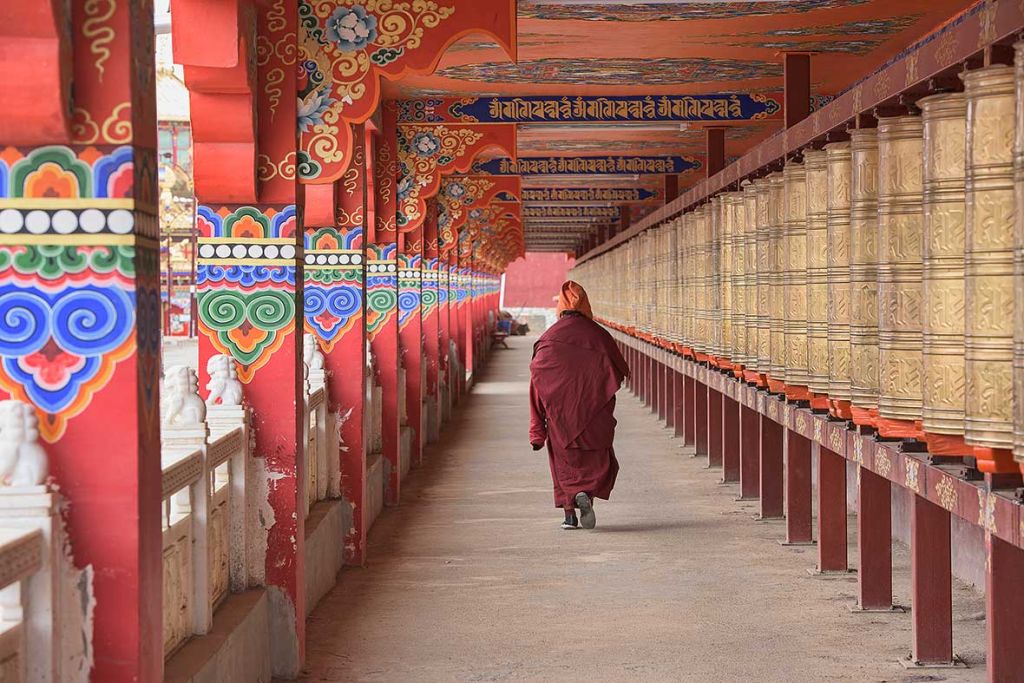 Fringe Benefits - Travelogues from Remote Lands