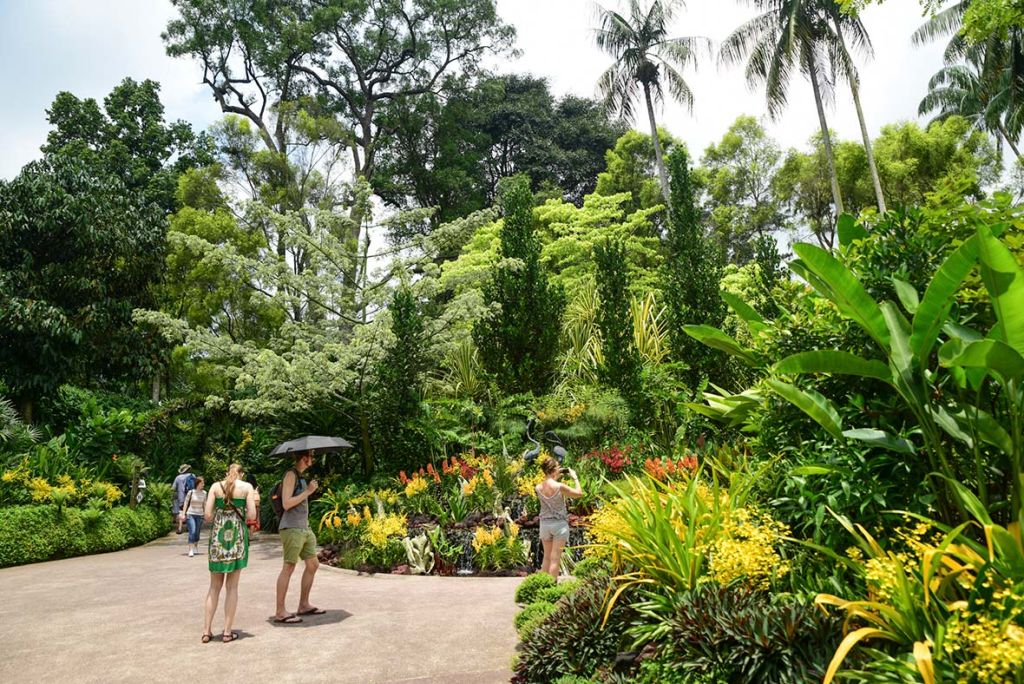 Saying it with Flowers - Travelogues from Remote Lands