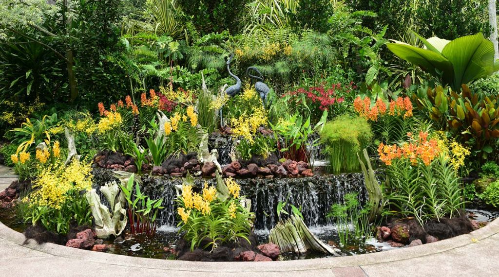 Saying it with Flowers - Travelogues from Remote Lands