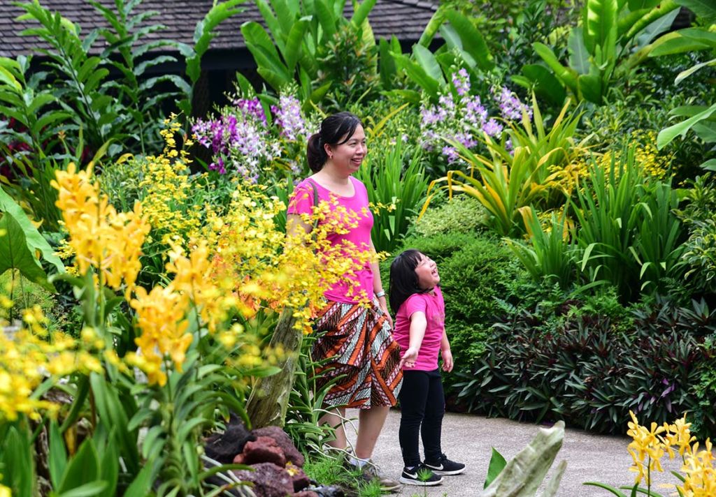 Saying it with Flowers - Travelogues from Remote Lands