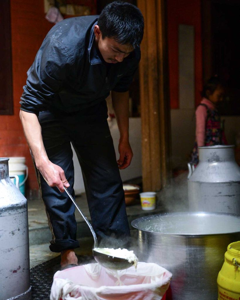 King of Curd - Travelogues from Remote Lands