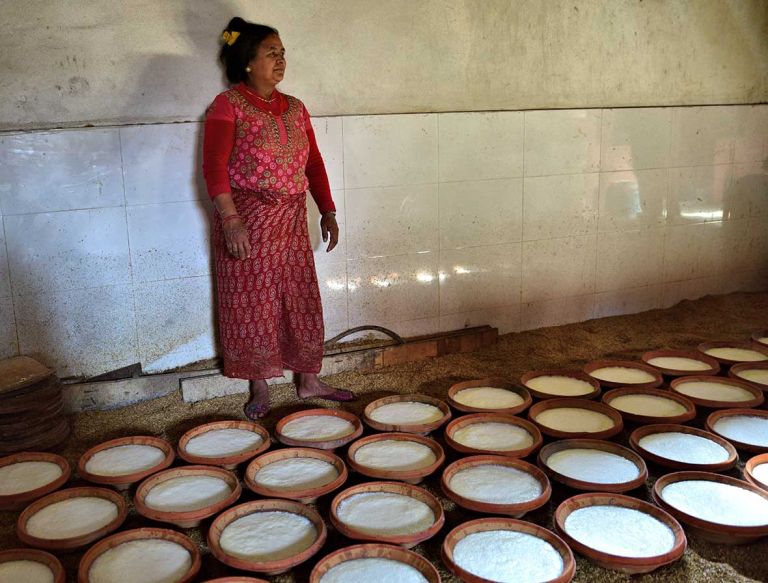 King of Curd - Travelogues from Remote Lands