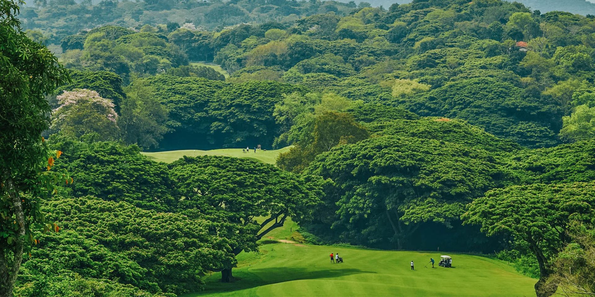 Swing Through Sri Lanka - Travelogues from Remote Lands