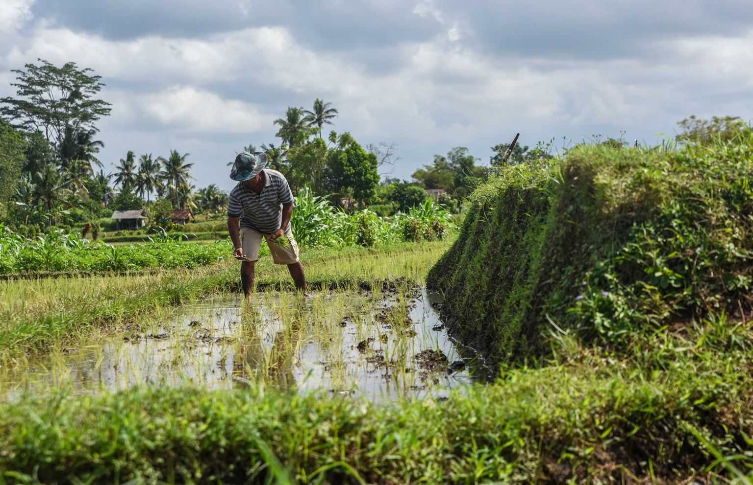 The Righteous Path - Travelogues from Remote Lands