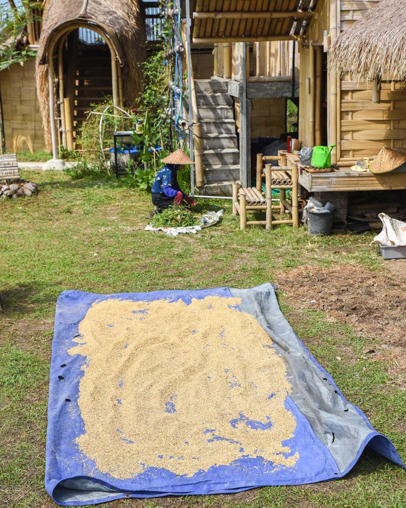 The Righteous Path - Travelogues from Remote Lands