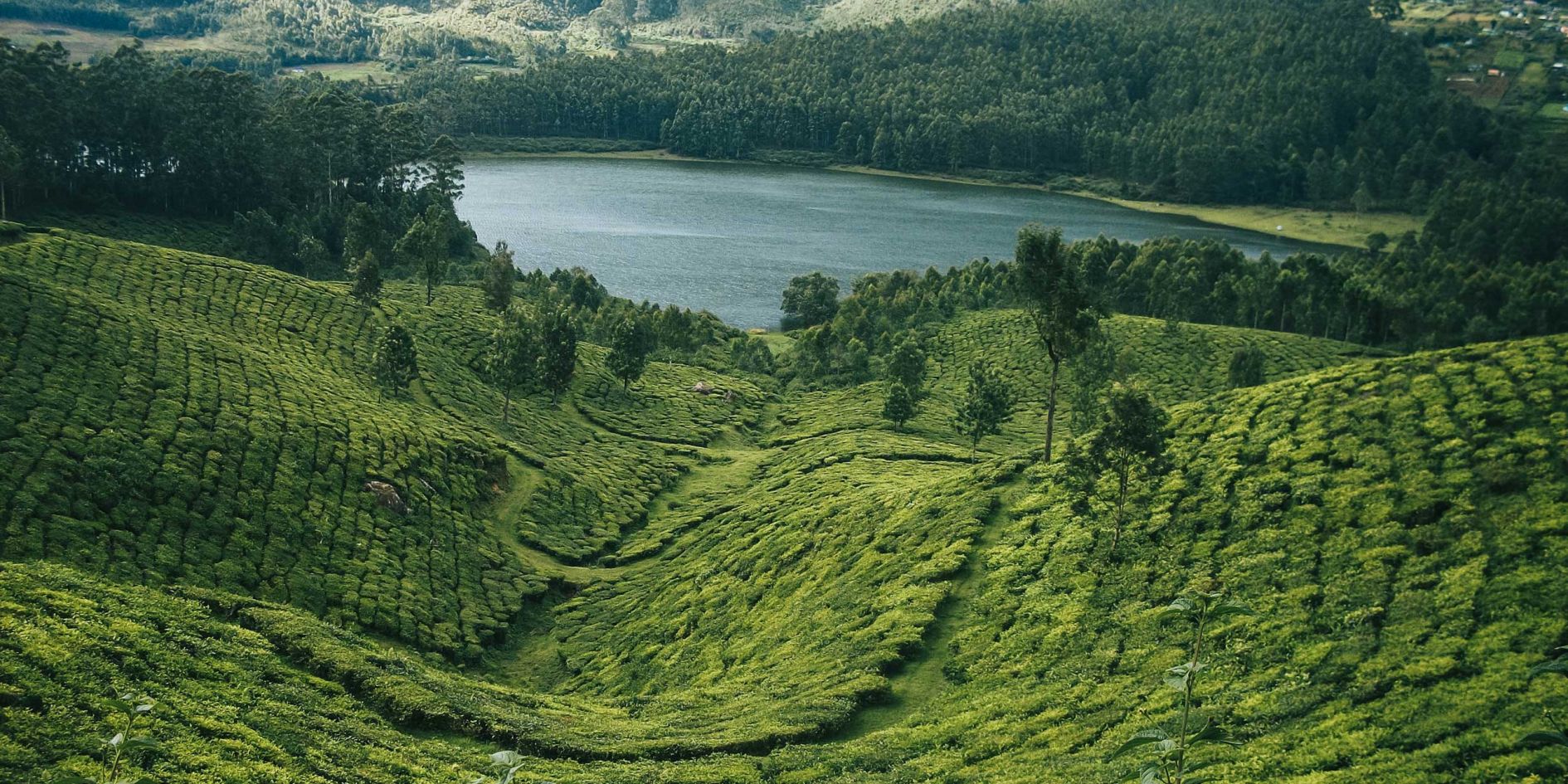 The Beautiful South - Travelogues from Remote Lands