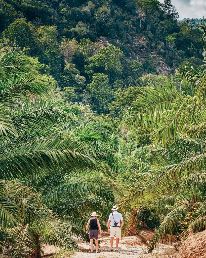 Eastern & Oriental Express Gets Back on the Rails Next Year ...