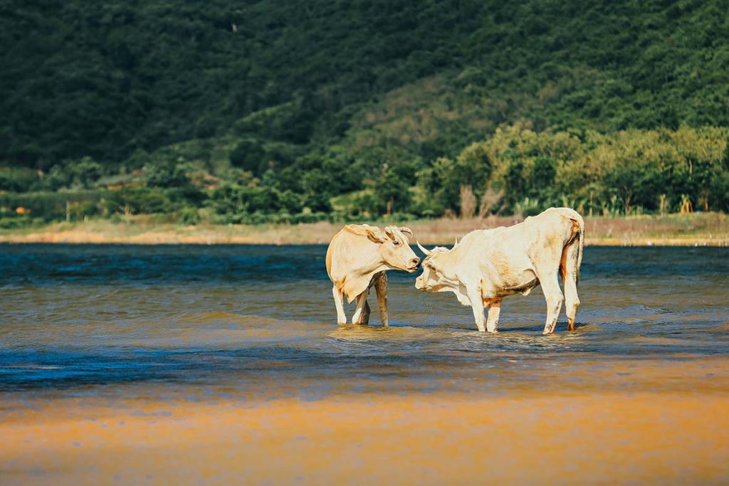 Trunk Route - Travelogues from Remote Lands