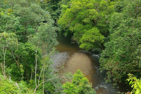 The Mild Men of Borneo - Travelogues from Remote Lands