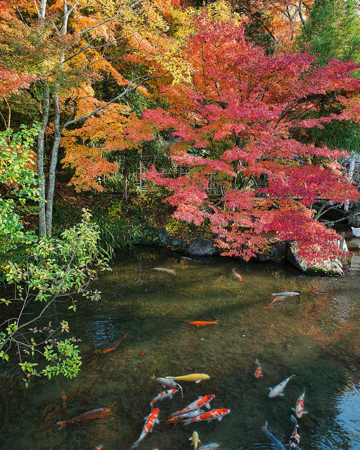 A Perfect Zen - Travelogues from Remote Lands