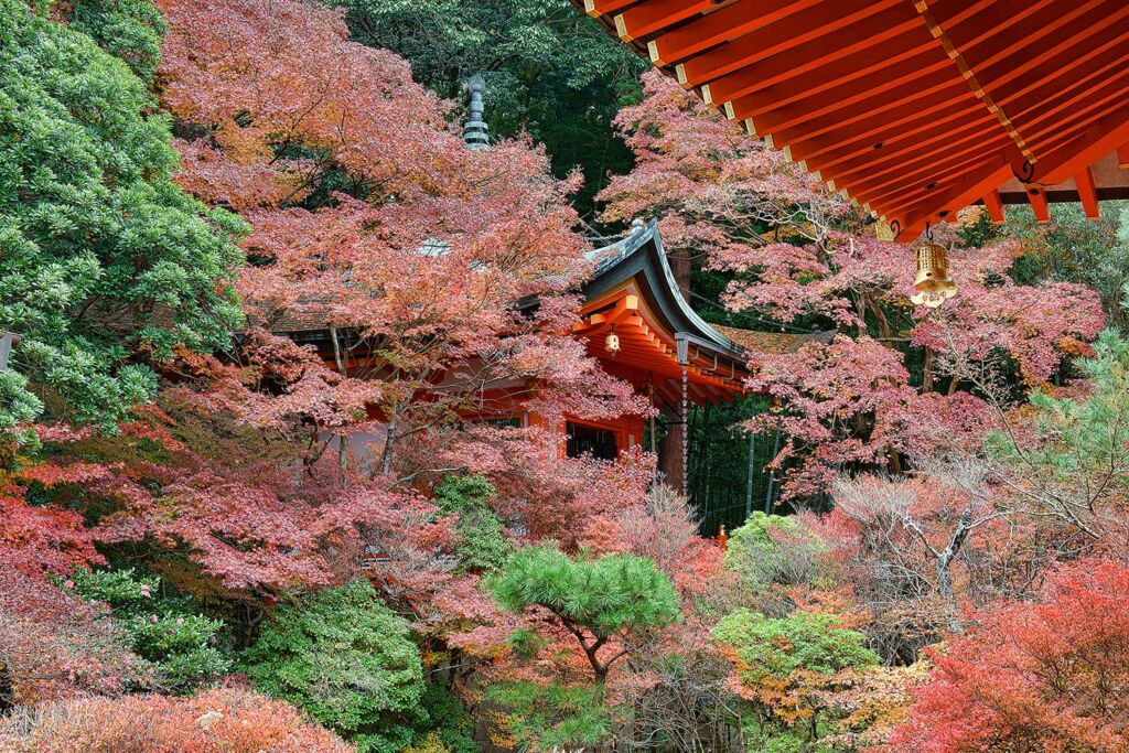 A Perfect Zen - Travelogues from Remote Lands