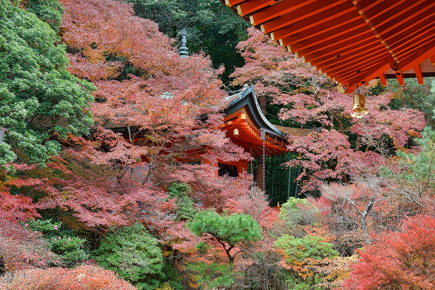 A Perfect Zen - Travelogues from Remote Lands